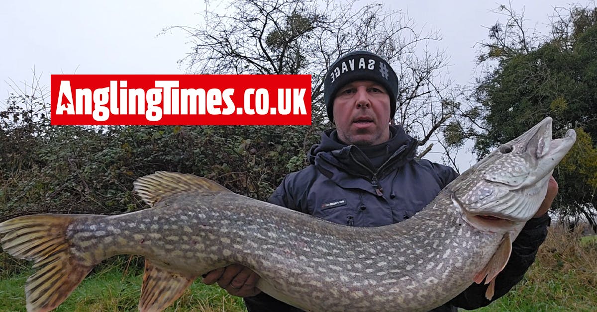 Monster Wye pike landed after the floods | Angling Times