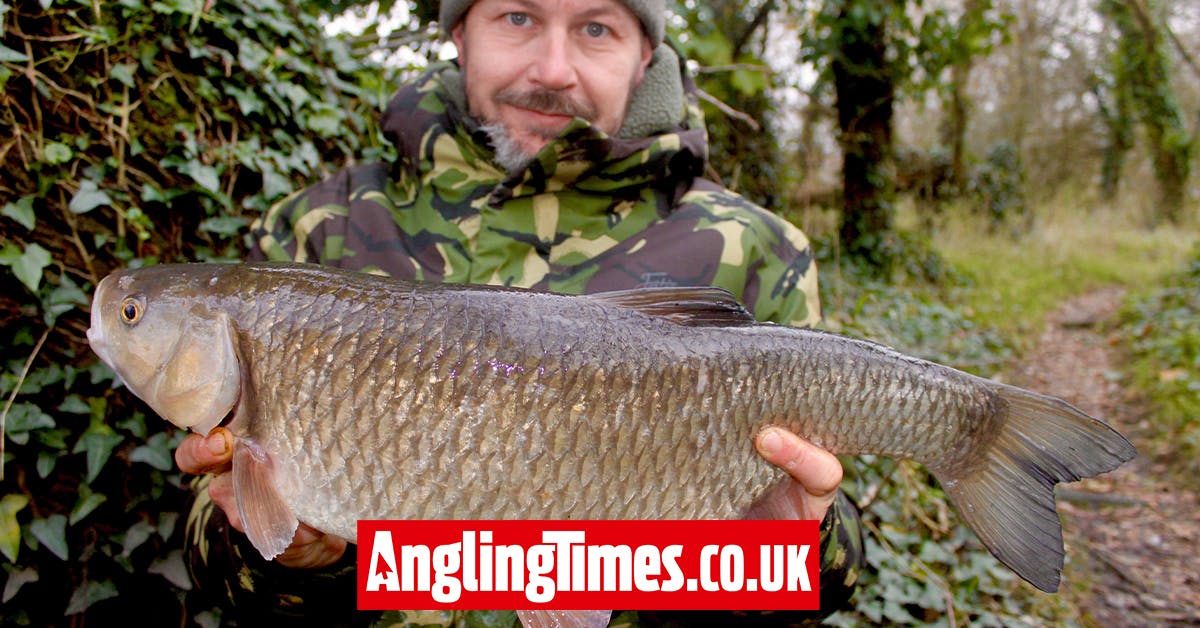 Boilie does the trick for huge Dorset Stour chub | Angling Times
