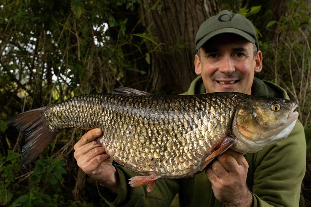 Giant chub is one of the biggest ever taken from a British river ...