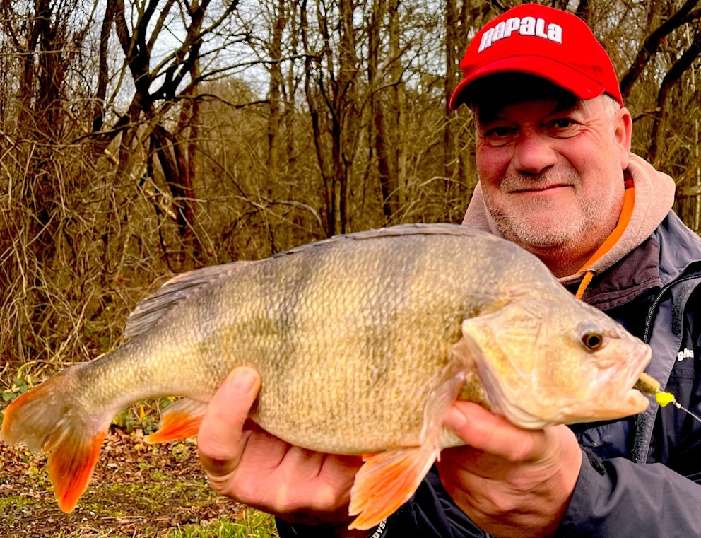 Personal best canal perch is Darren’s final fish of 2023 | Angling Times