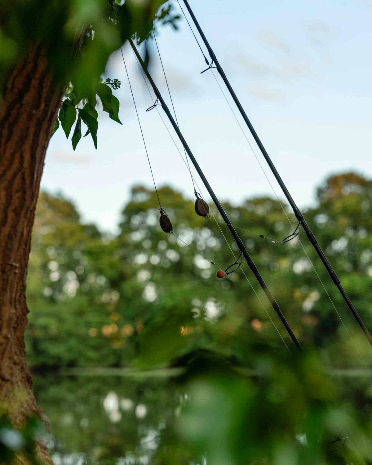 Why you need the ‘Multi-rig’ in your carp fishing | Oli Davies ...