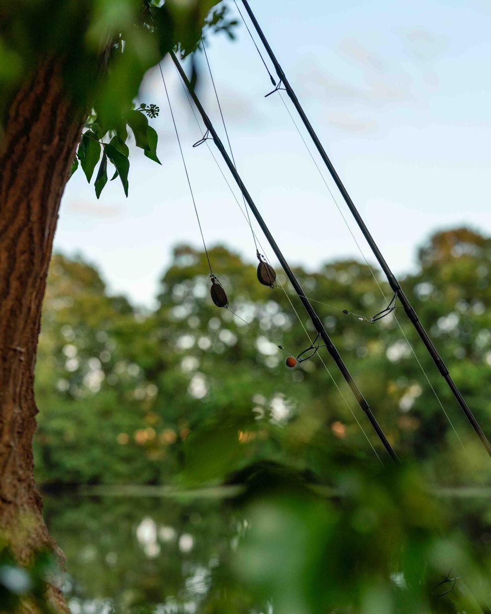 Why you need the ‘Multi-rig’ in your carp fishing | Oli Davies ...