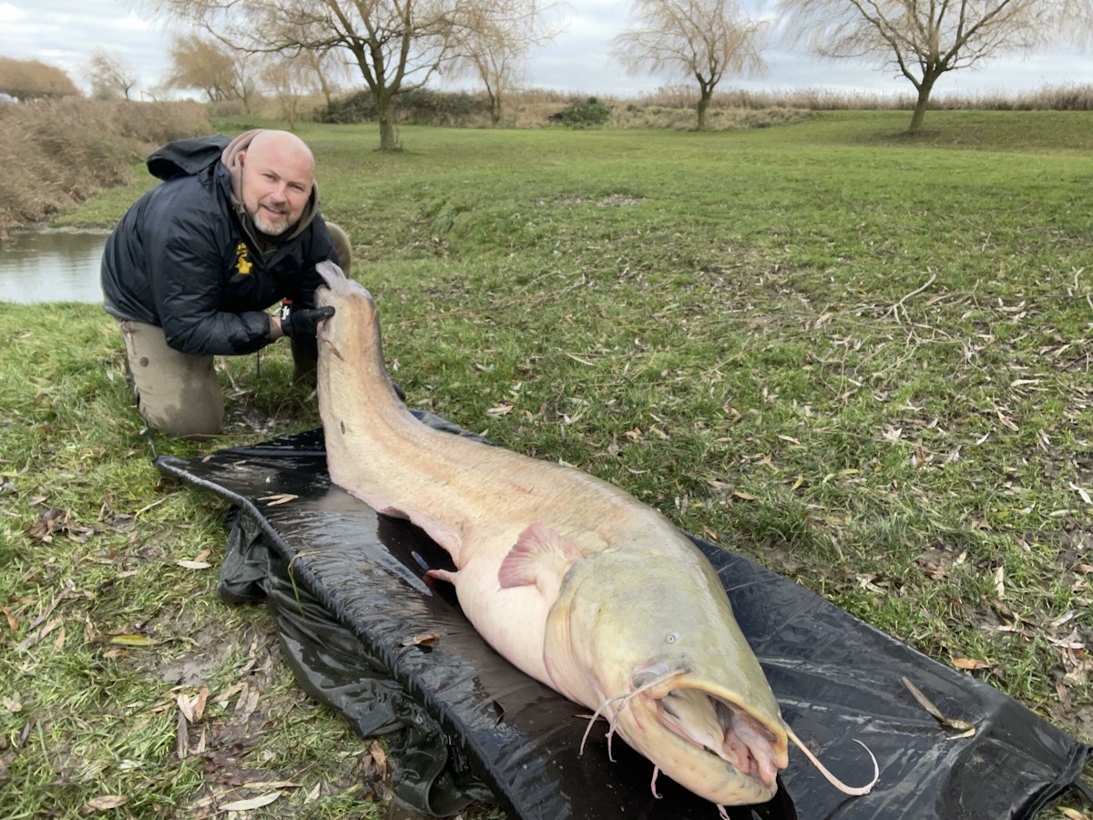 Could monster winter catfish be a new British record? | Angling Times