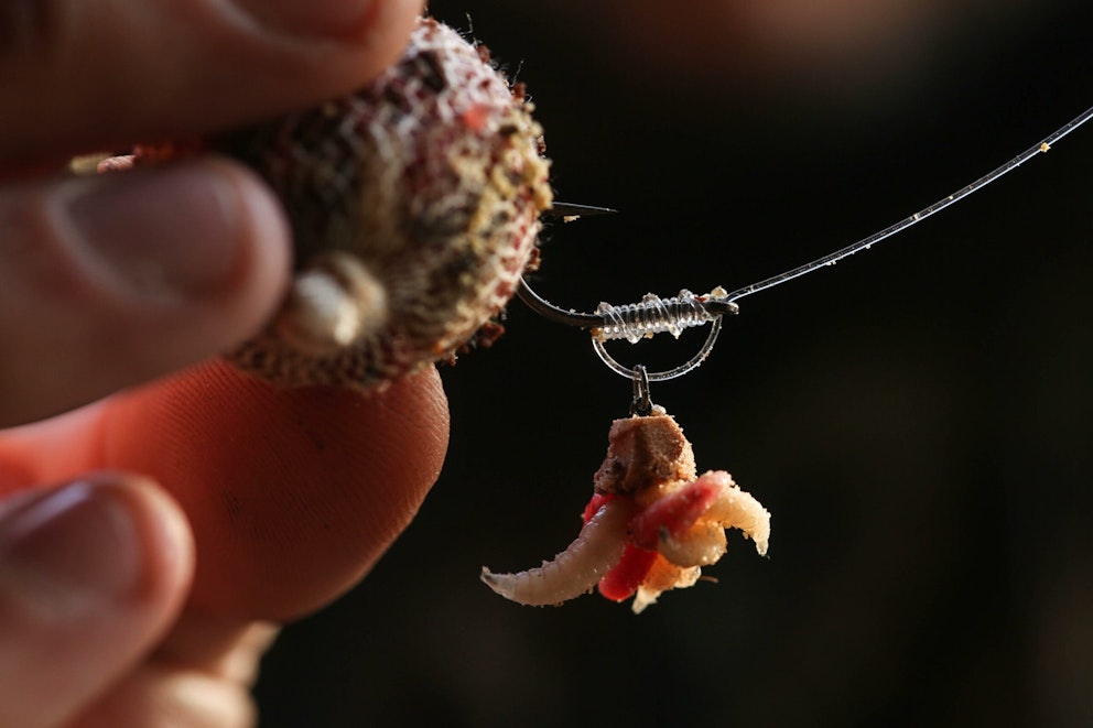 The best winter carp fishing edges | Angling Times
