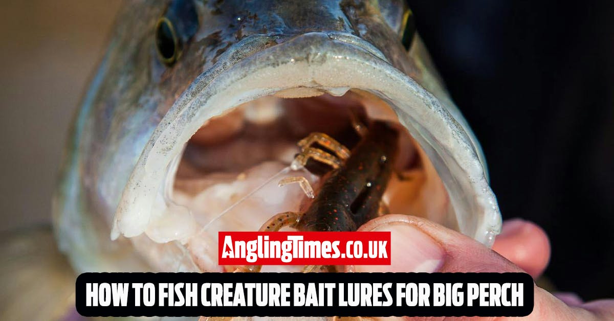 How to fish creature bait lures for big perch | Angling Times