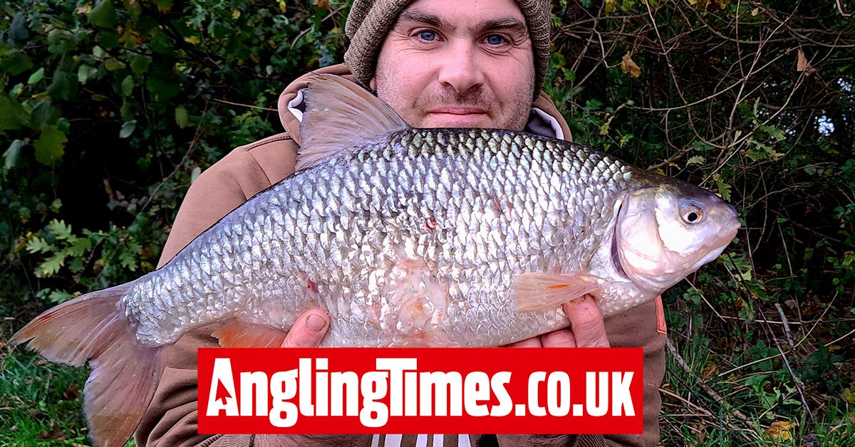 Images Of Roach Fish 3,500+ Roach Fish Stock Photos, Pictures