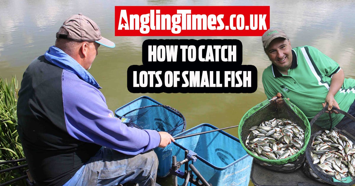 How to win a fishing match with only small fish | Angling Times