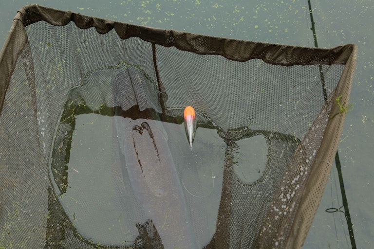 Effective deadbait float fishing rig for pike | Angling Times