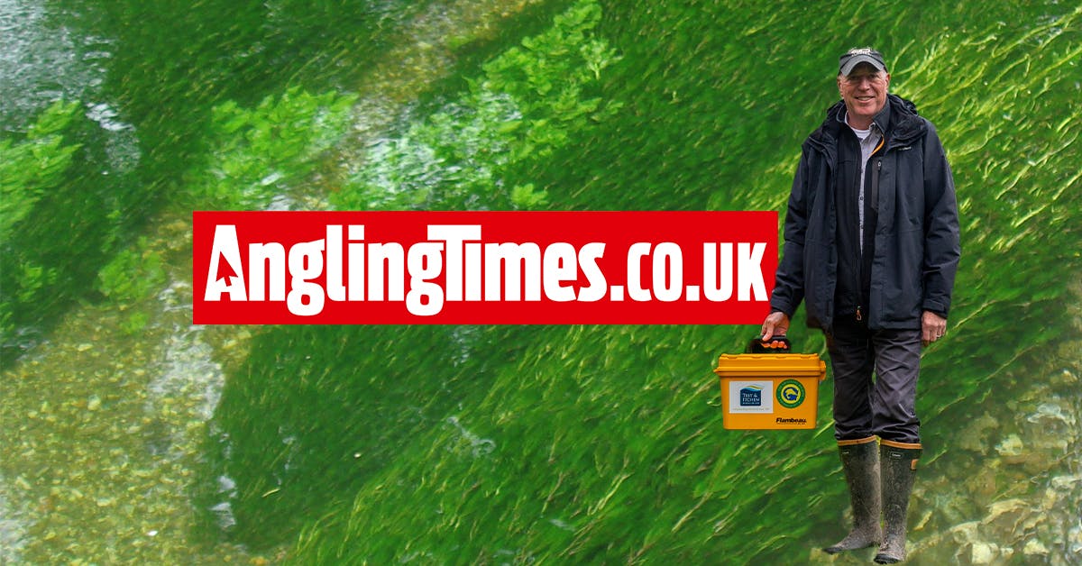 Volunteers take action to protect UK chalk streams ‘before it’s too ...