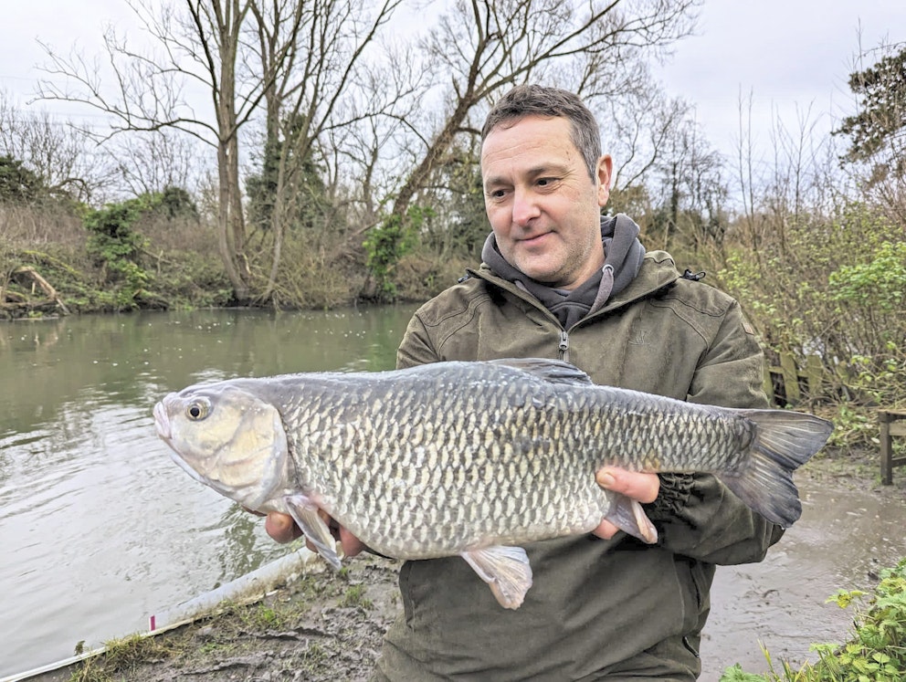Absolutely enormous chub landed on ‘old’ quivertip rod | Angling Times