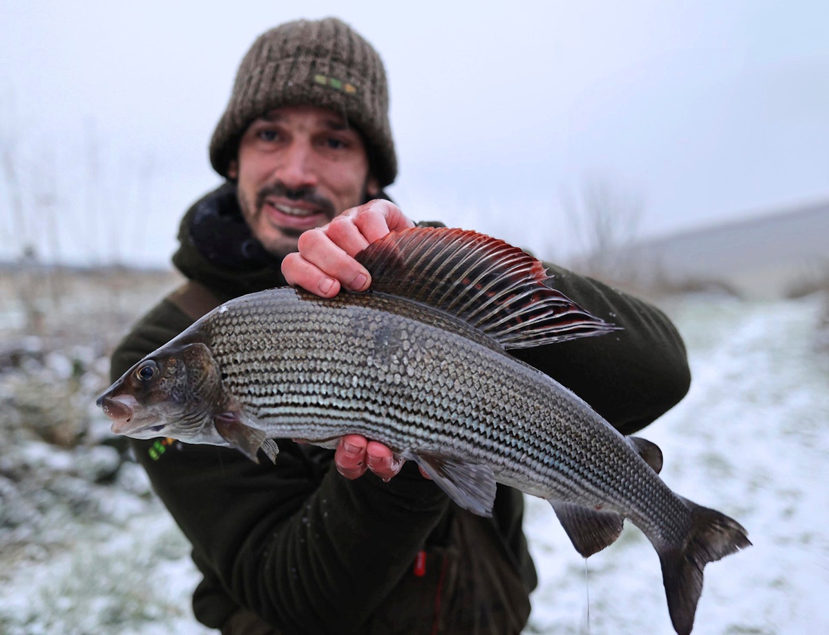 Fishing tips: how to catch a grayling