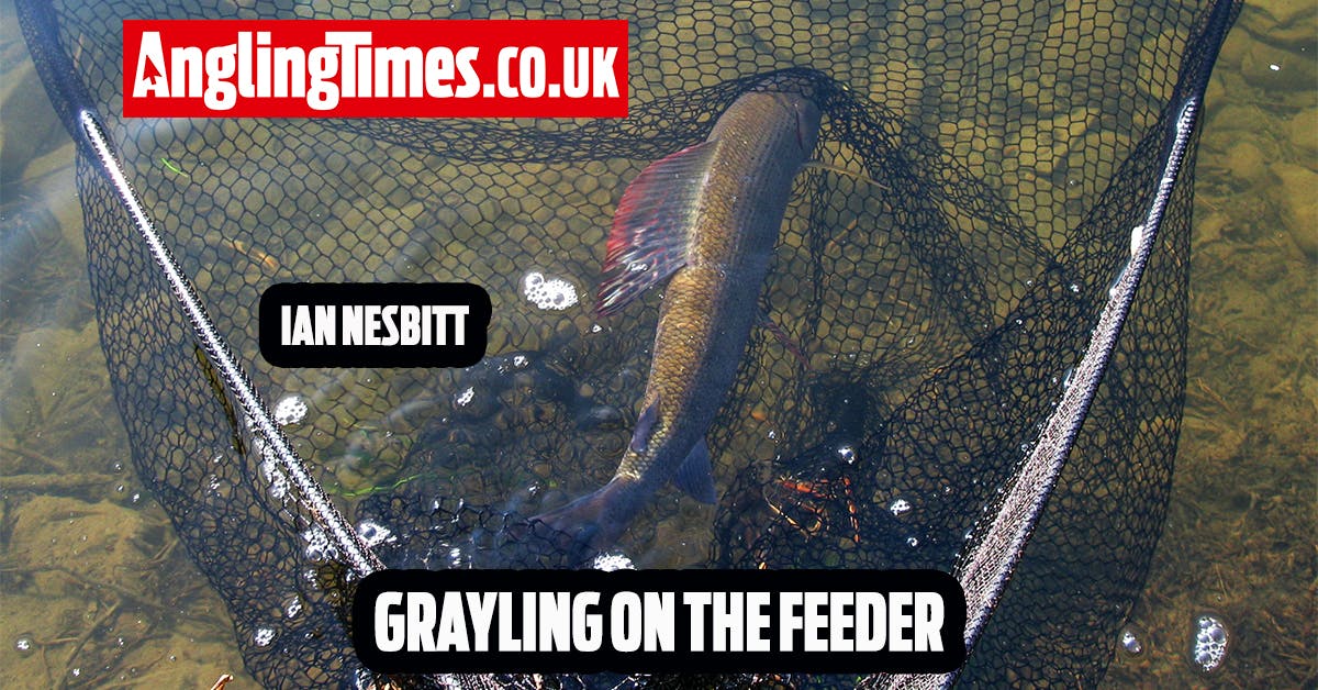 How to catch grayling on the feeder | Ian Nesbitt | Angling Times