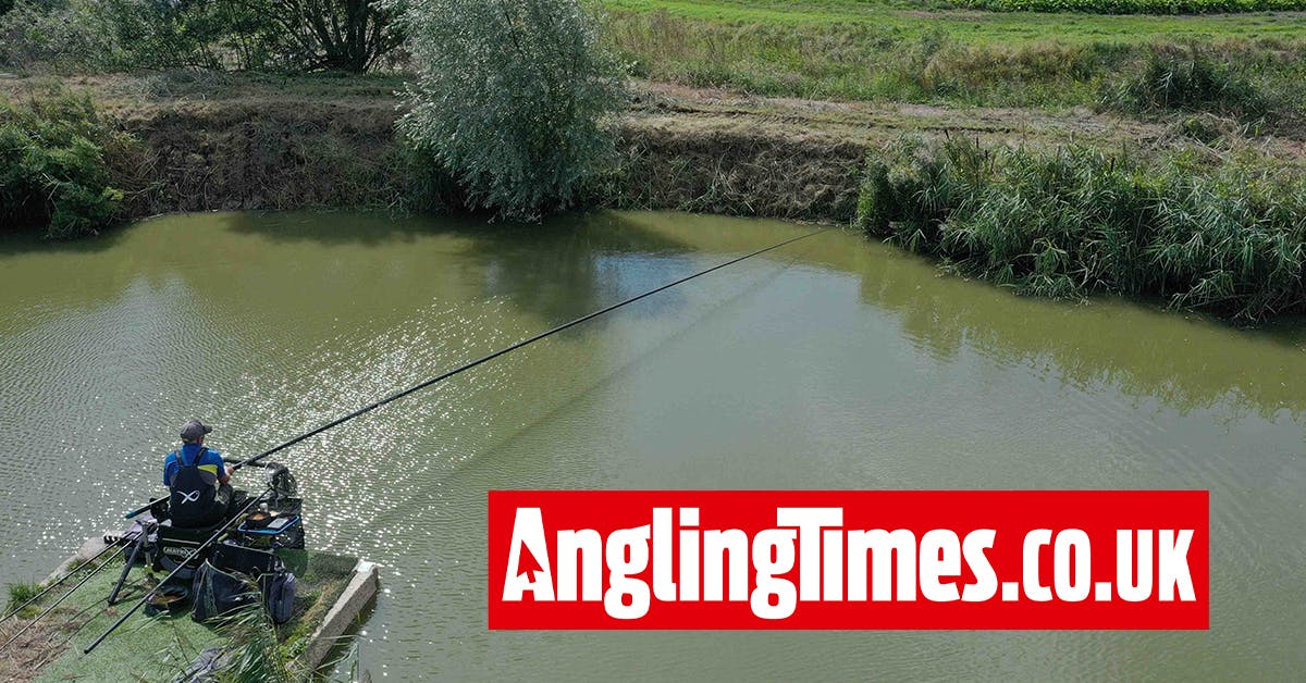 New festivals planned to grow match fishing in the South | Angling Times