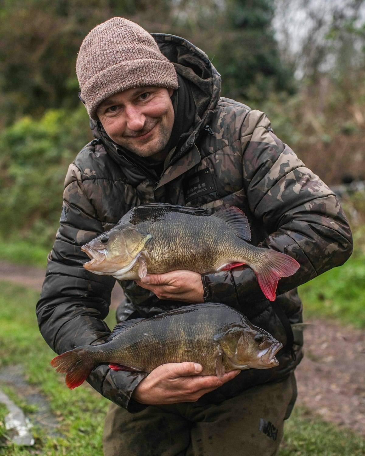 Mega brace of perch on ‘impromptu’ canal fishing session for Nash ...
