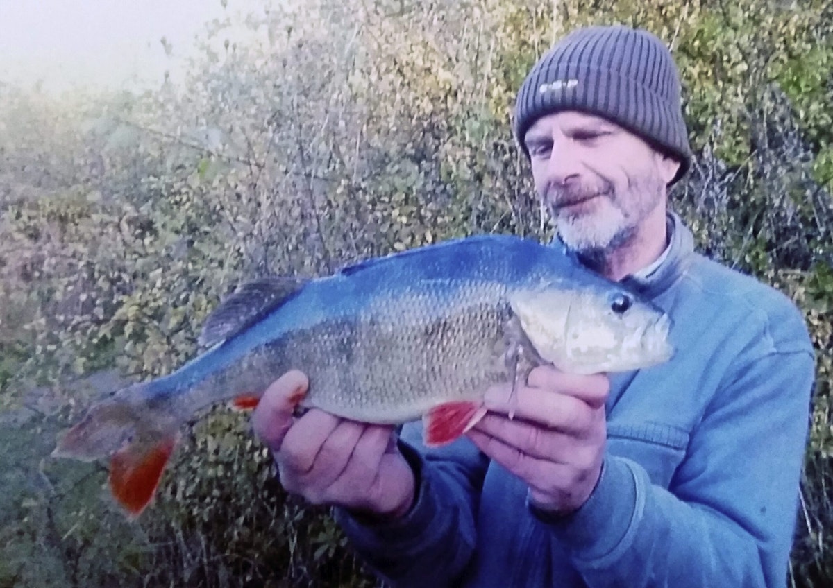 Landmark Wharfe perch is angler’s 50th over 4lb | Angling Times