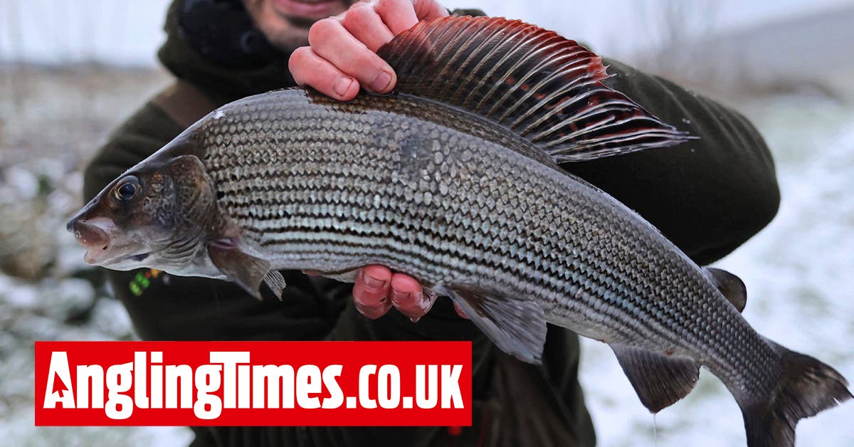 Eight-hour drive brings stunning best grayling | Angling Times
