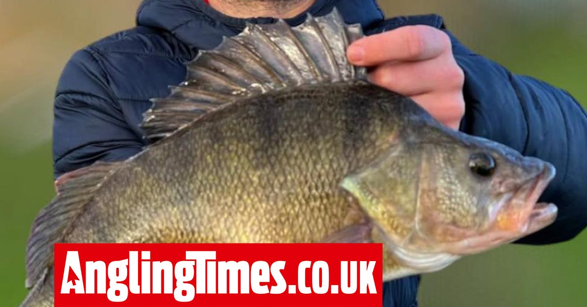 Perch best smashed twice in dream start to the year | Angling Times