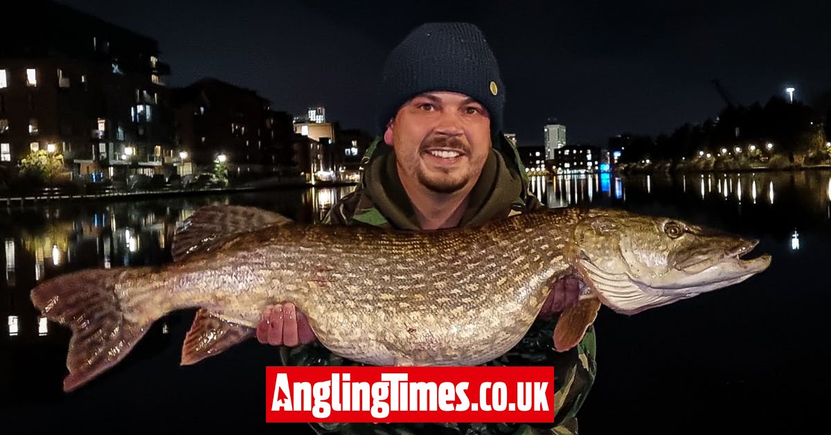Quality urban pike hits lure after dark | Angling Times