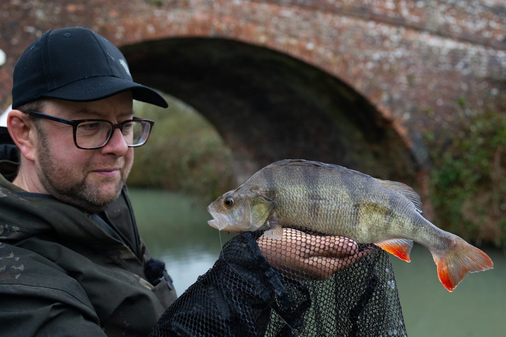 10 of the best tips for catching big perch