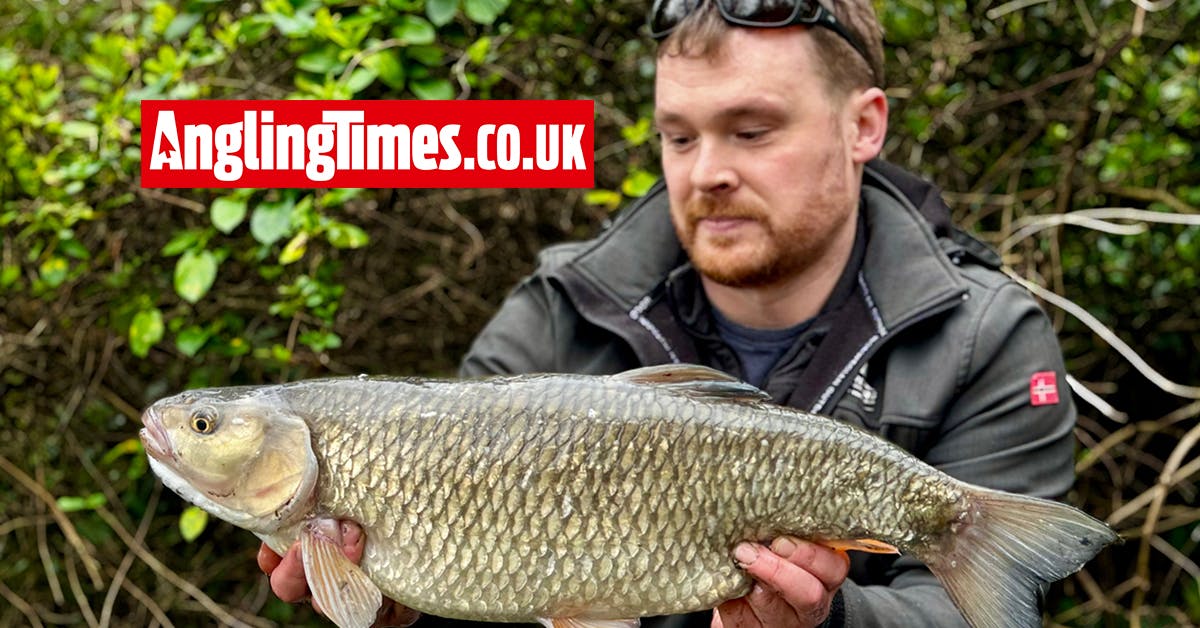 Return to fishing rewarded with monster 8lb-plus Thames chub | Angling ...