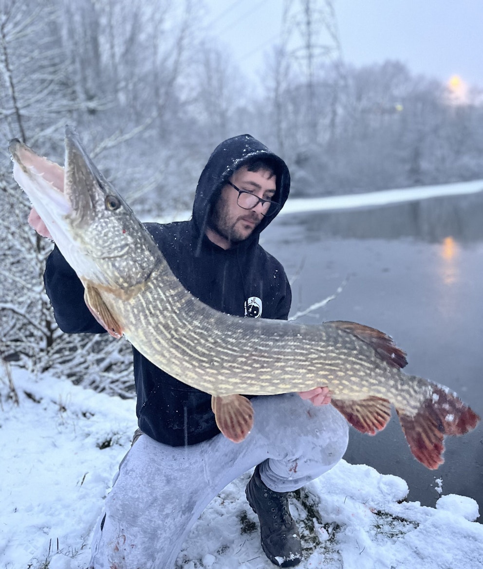 30lb Park Lake pike is a real monster | Angling Times