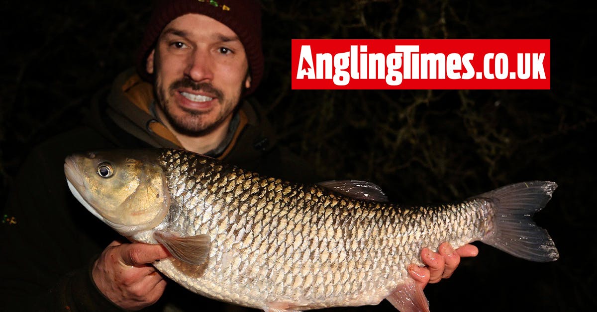 Superb brace of monster chub show a taste for boilies | Angling Times