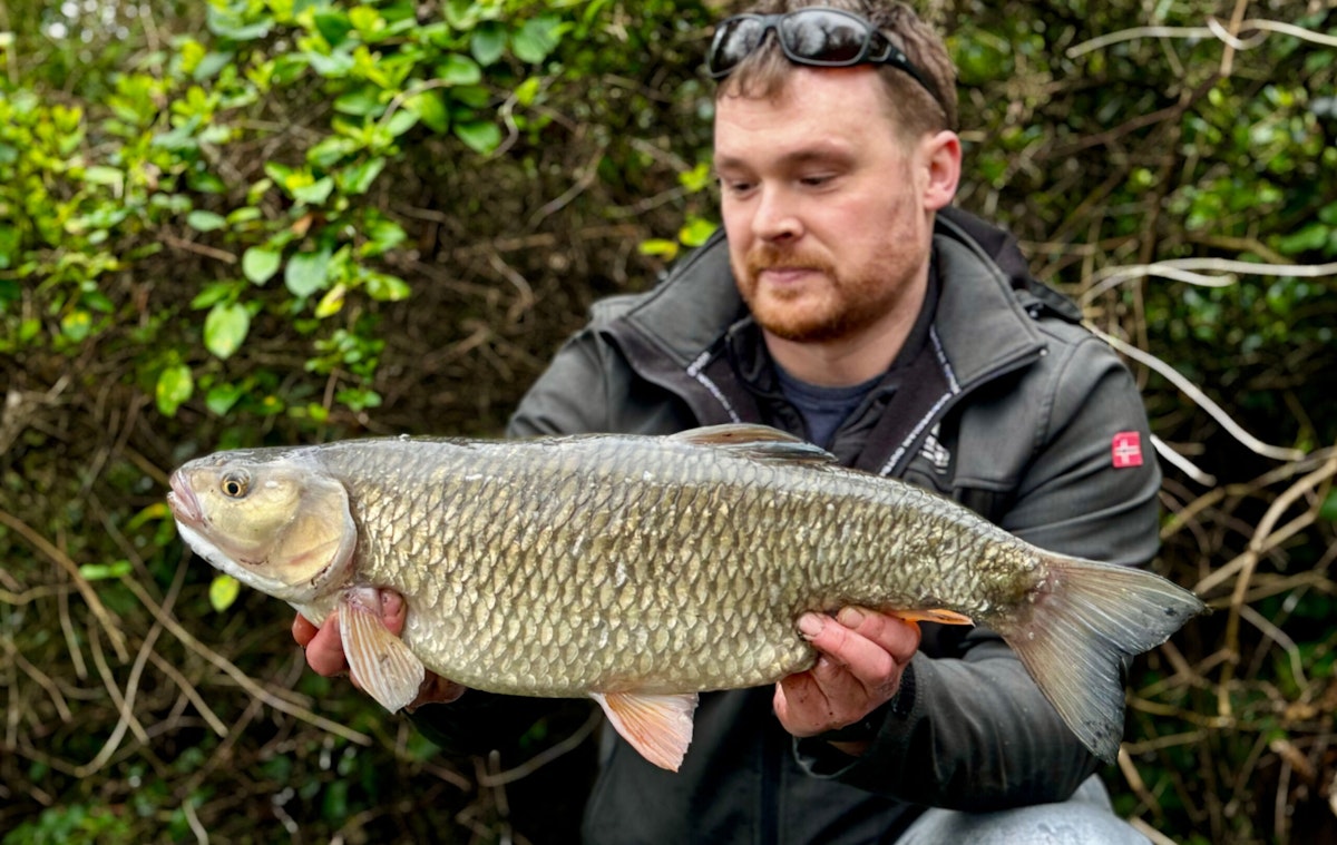 Return to fishing rewarded with monster 8lb-plus Thames chub | Angling Times