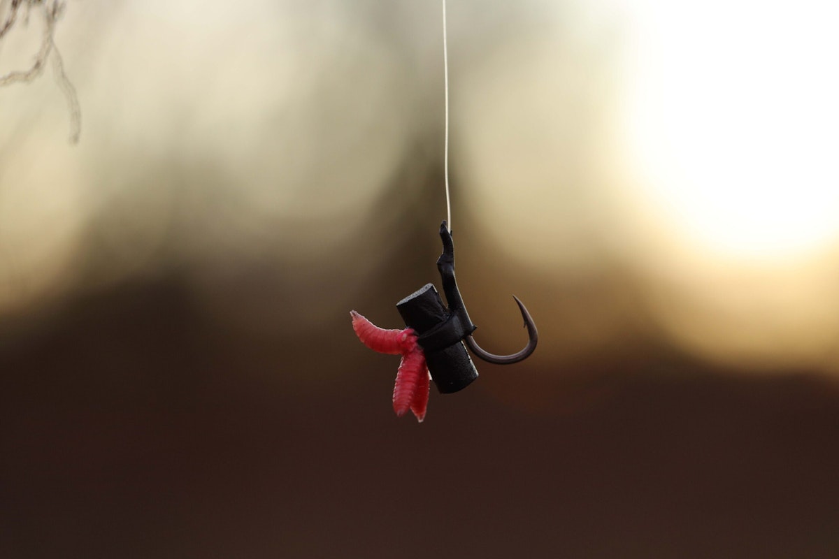 12 Tips To Master Big Carp Fishing With Maggots | Angling Times