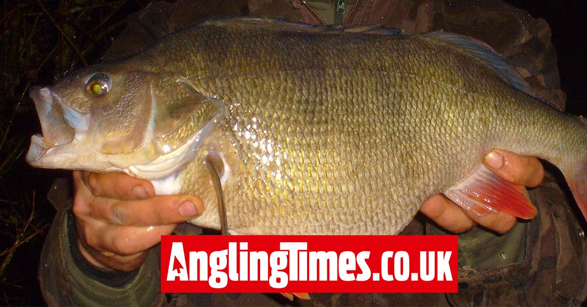 What to do if you catch a record fish | Angling Times
