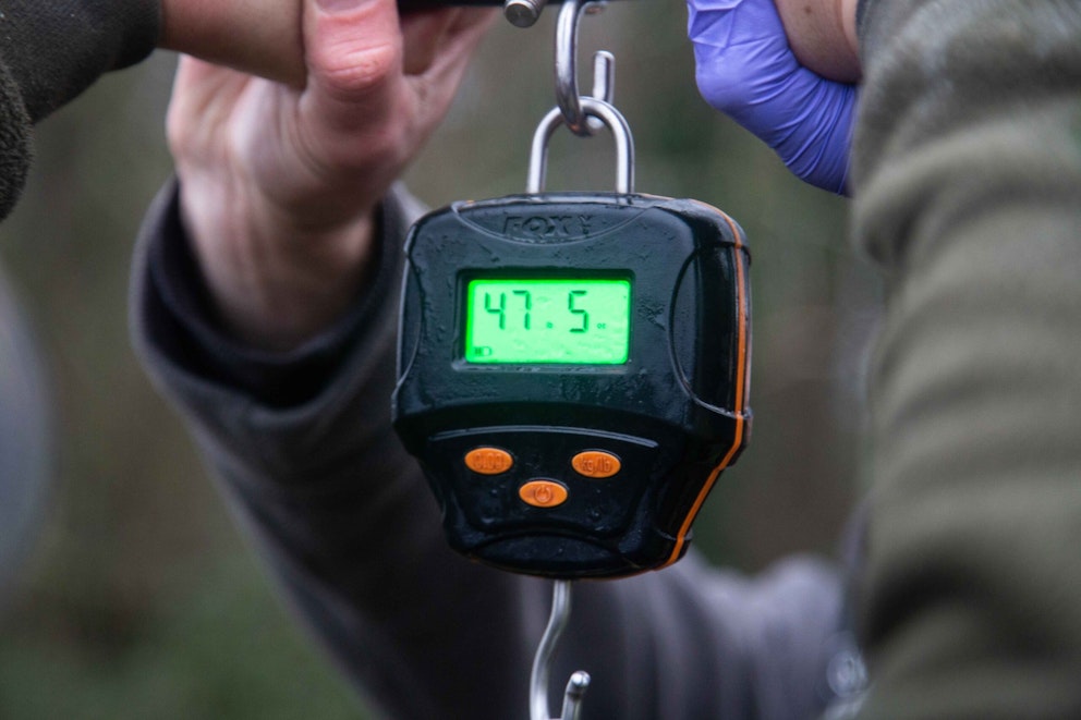 Record pike claim accepted | Angling Times