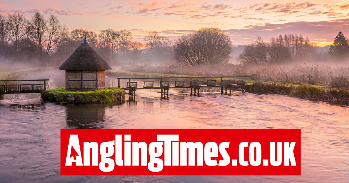 Anglers prevent sewage dumping on iconic English chalk stream | Angling Times