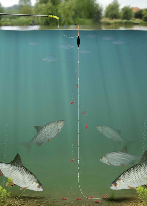 Guide to shotting patterns | Angling Times