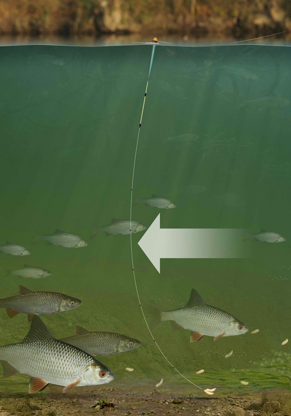 Guide to shotting patterns | Angling Times