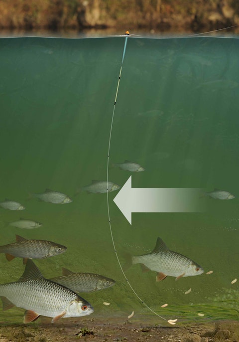 Guide to shotting patterns | Angling Times