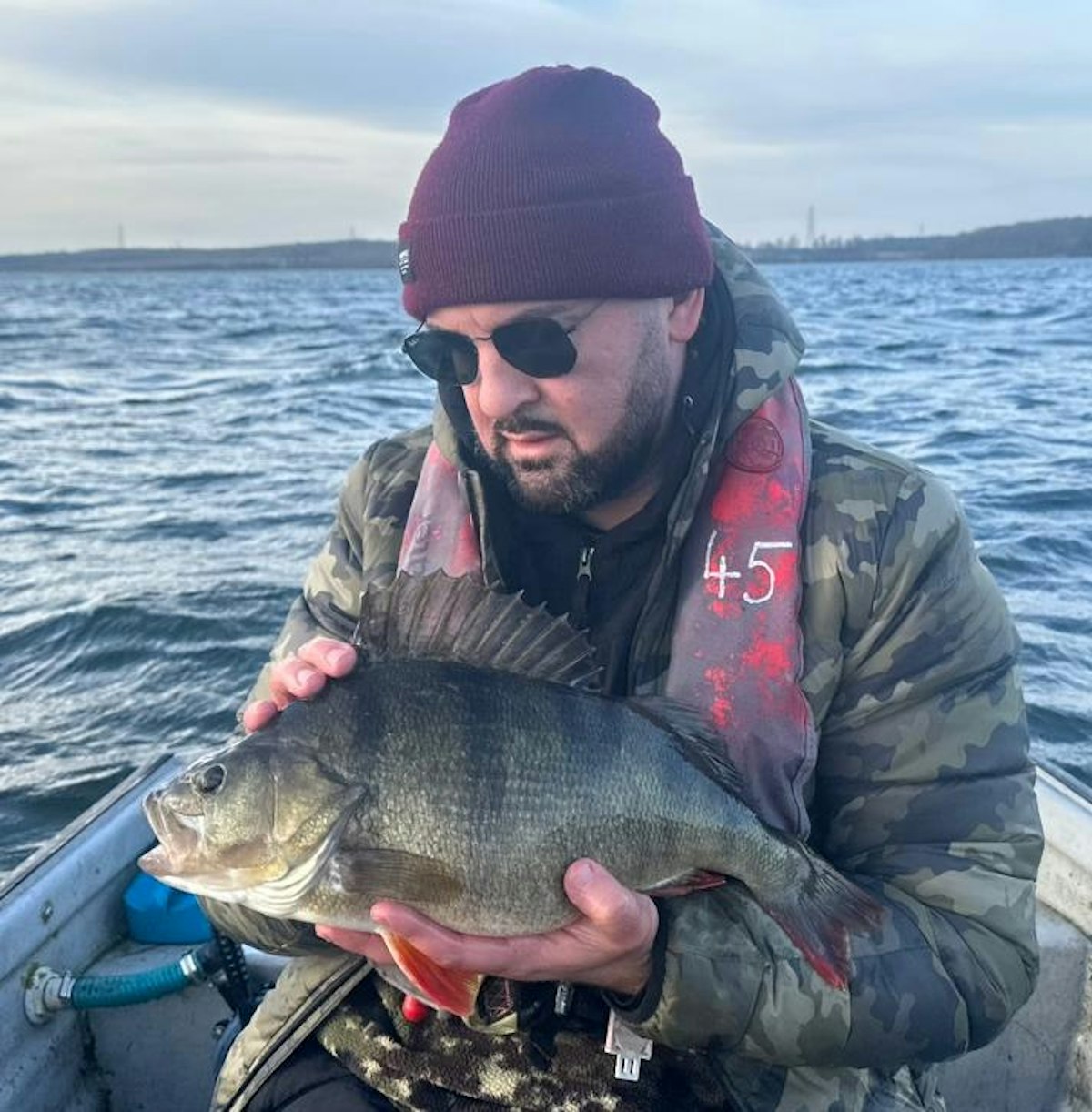 Huge reservoir perch could be ‘best angling moment’ for captor ...