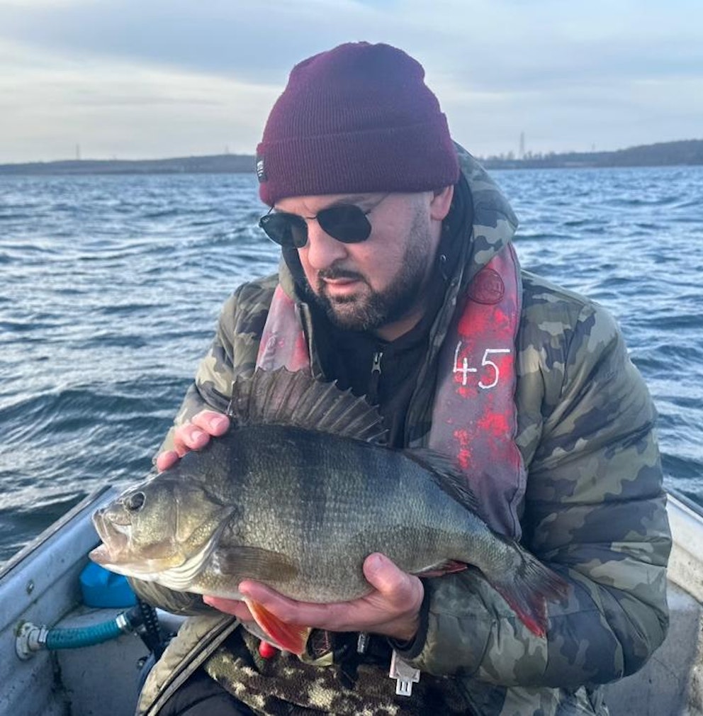 Huge reservoir perch could be ‘best angling moment’ for captor ...