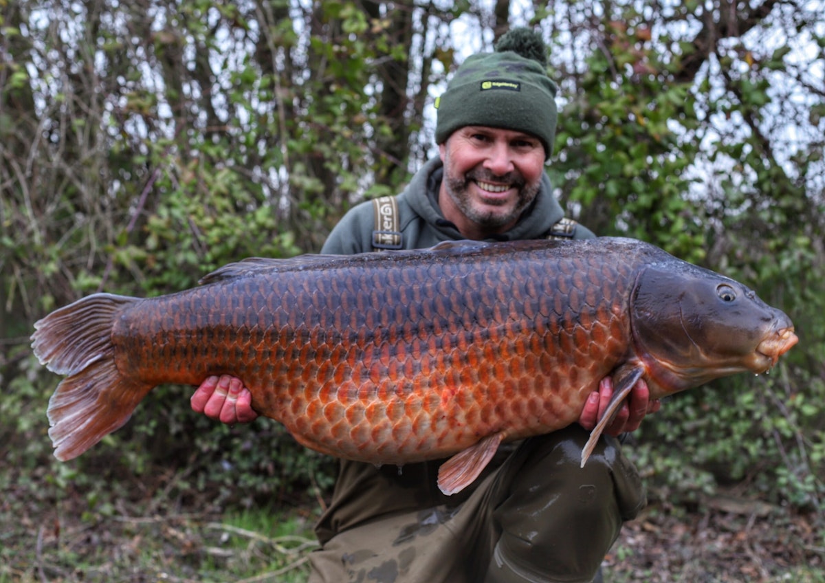 Enormous ‘old English common carp’ falls to a solid bag rig | Angling Times