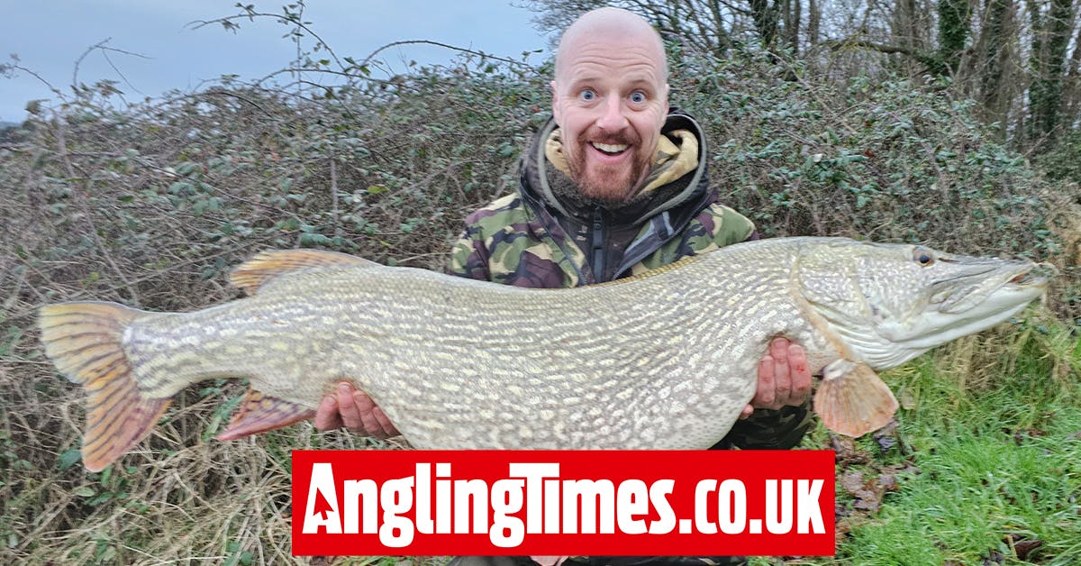 Monster 47lb 5oz pike beats British record at Chew Valley Lakes ...