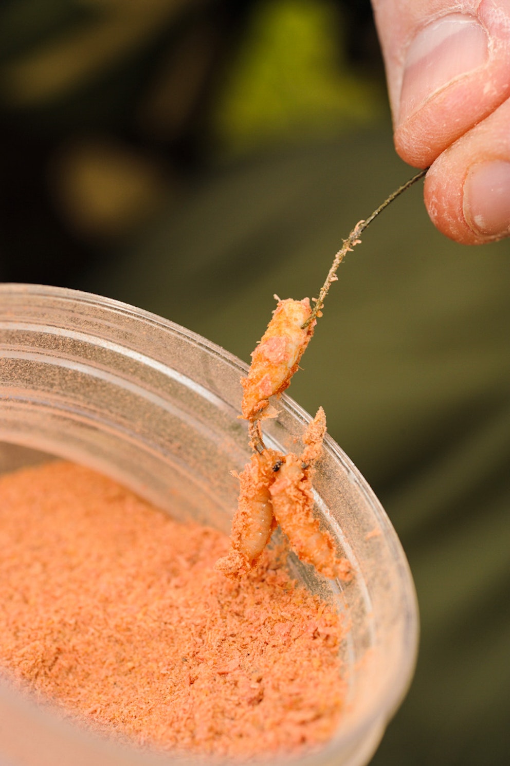 12 Tips To Master Big Carp Fishing With Maggots | Angling Times