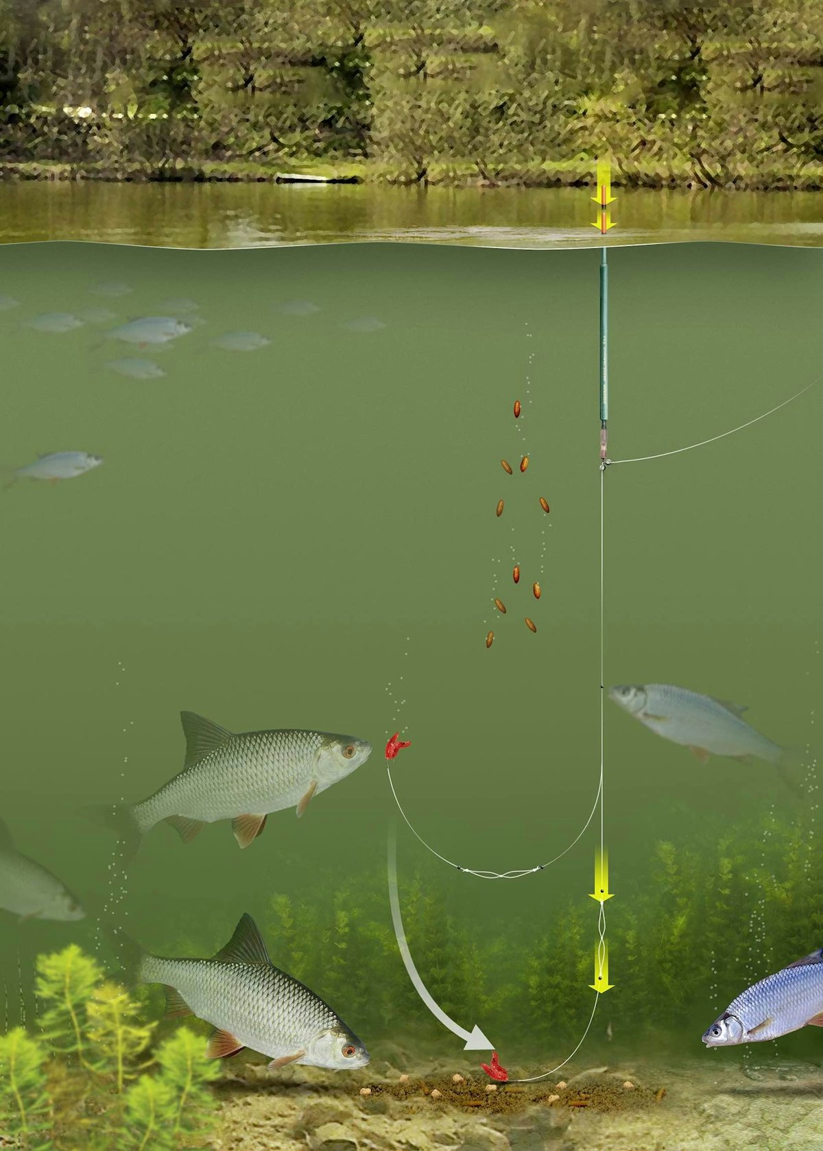 Guide to shotting patterns | Angling Times