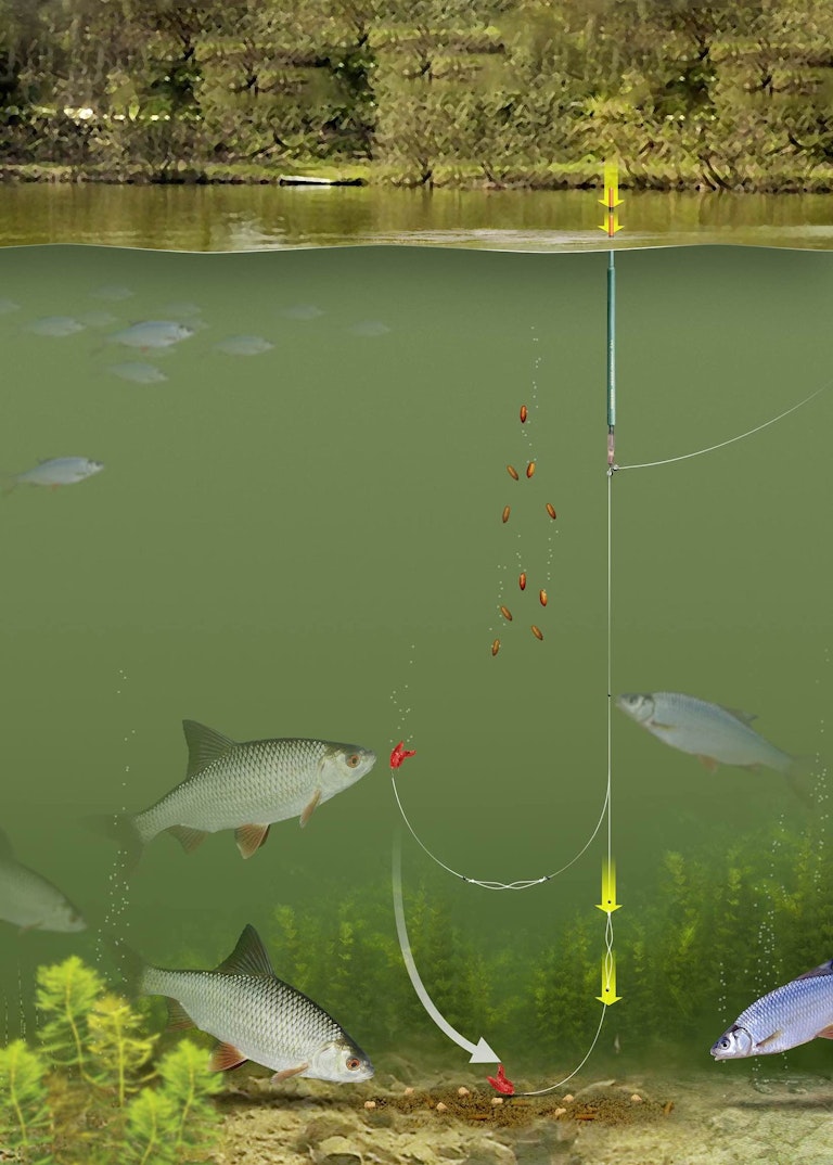 Guide to shotting patterns | Angling Times