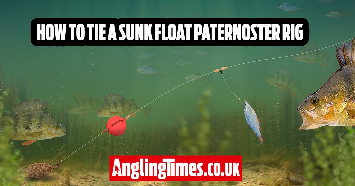 How to tie a sunk float paternoster rig for specimen perch fishing ...