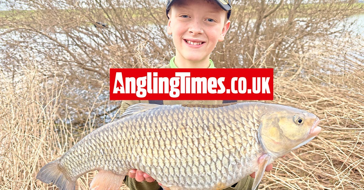 Young angler beats dad’s best fish with giant River Trent chub ...