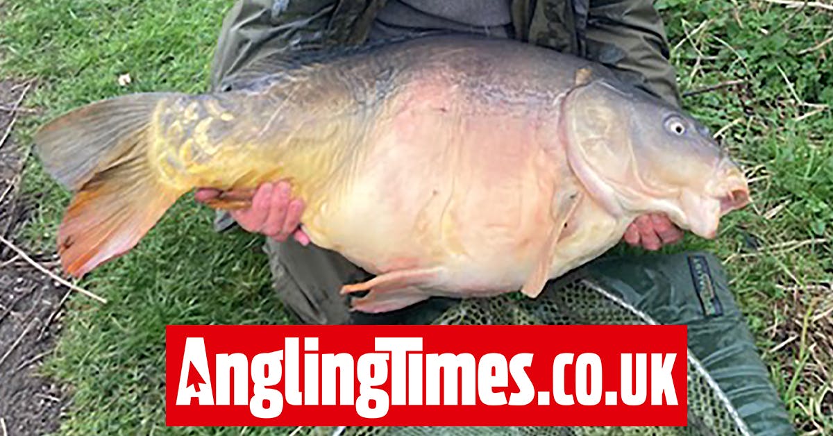 Astonishing 40lb-plus river carp tops unbelievable end to the season ...