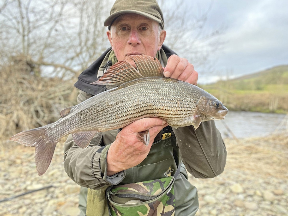Angler packs up early following capture of enormous Scottish grayling ...