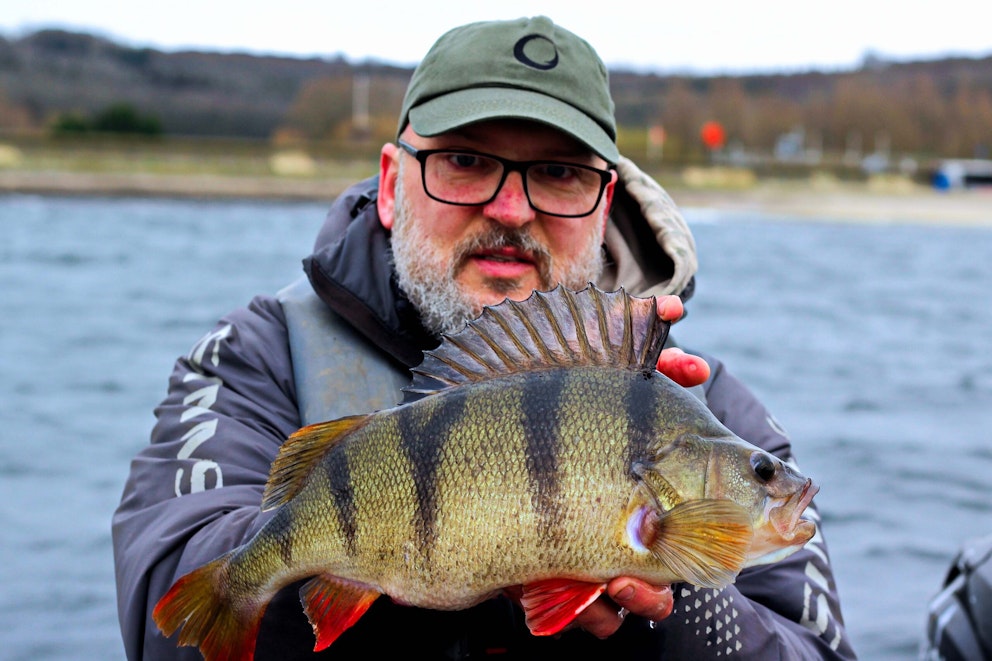 Angler finds ‘the mother lode’ of giant perch on local reservoir ...