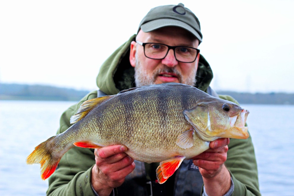 Angler finds ‘the mother lode’ of giant perch on local reservoir ...