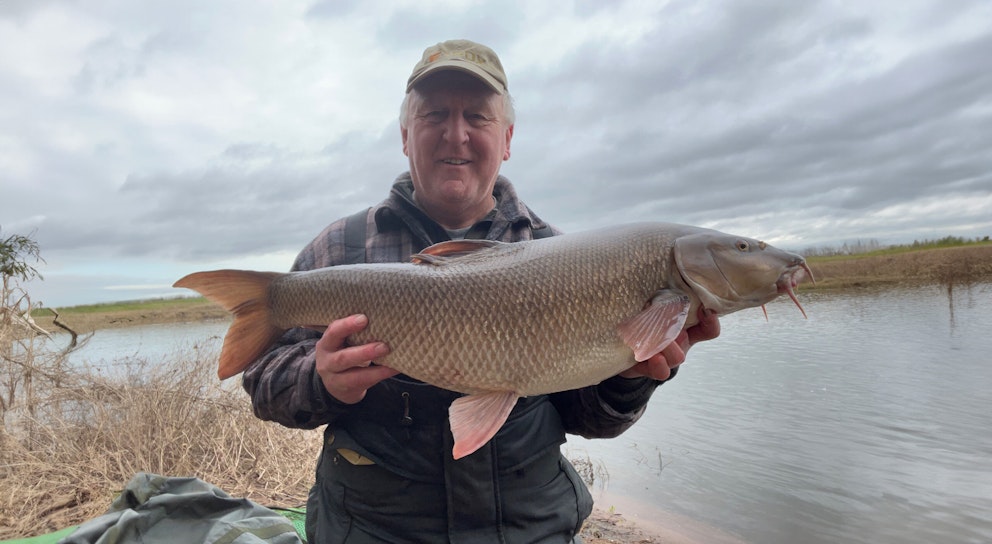 Two big barbel in two trips after Trent floods | Angling Times
