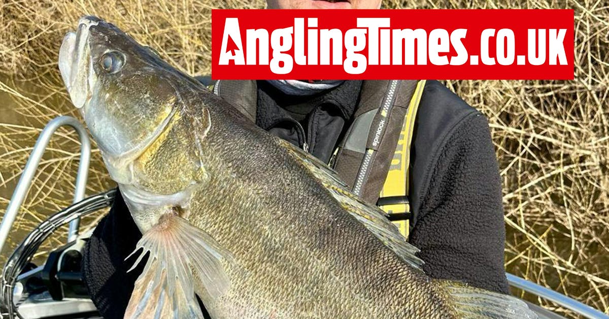Special zander capture leads to ‘tears of joy’ | Angling Times