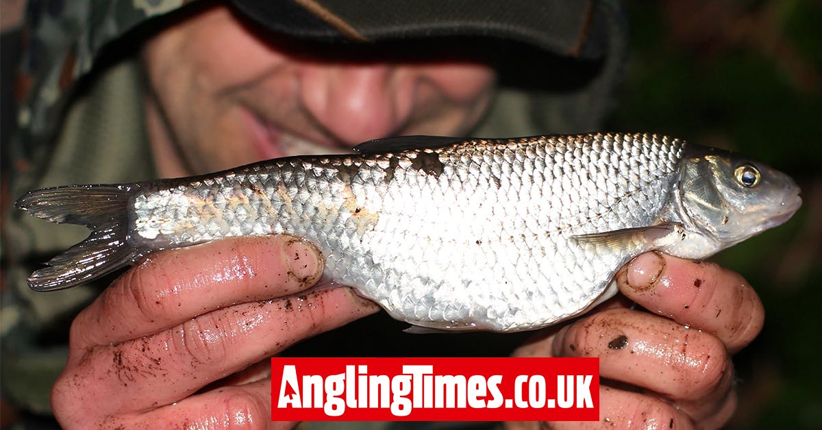 Big dace caps a season angler ‘will never top’ | Angling Times